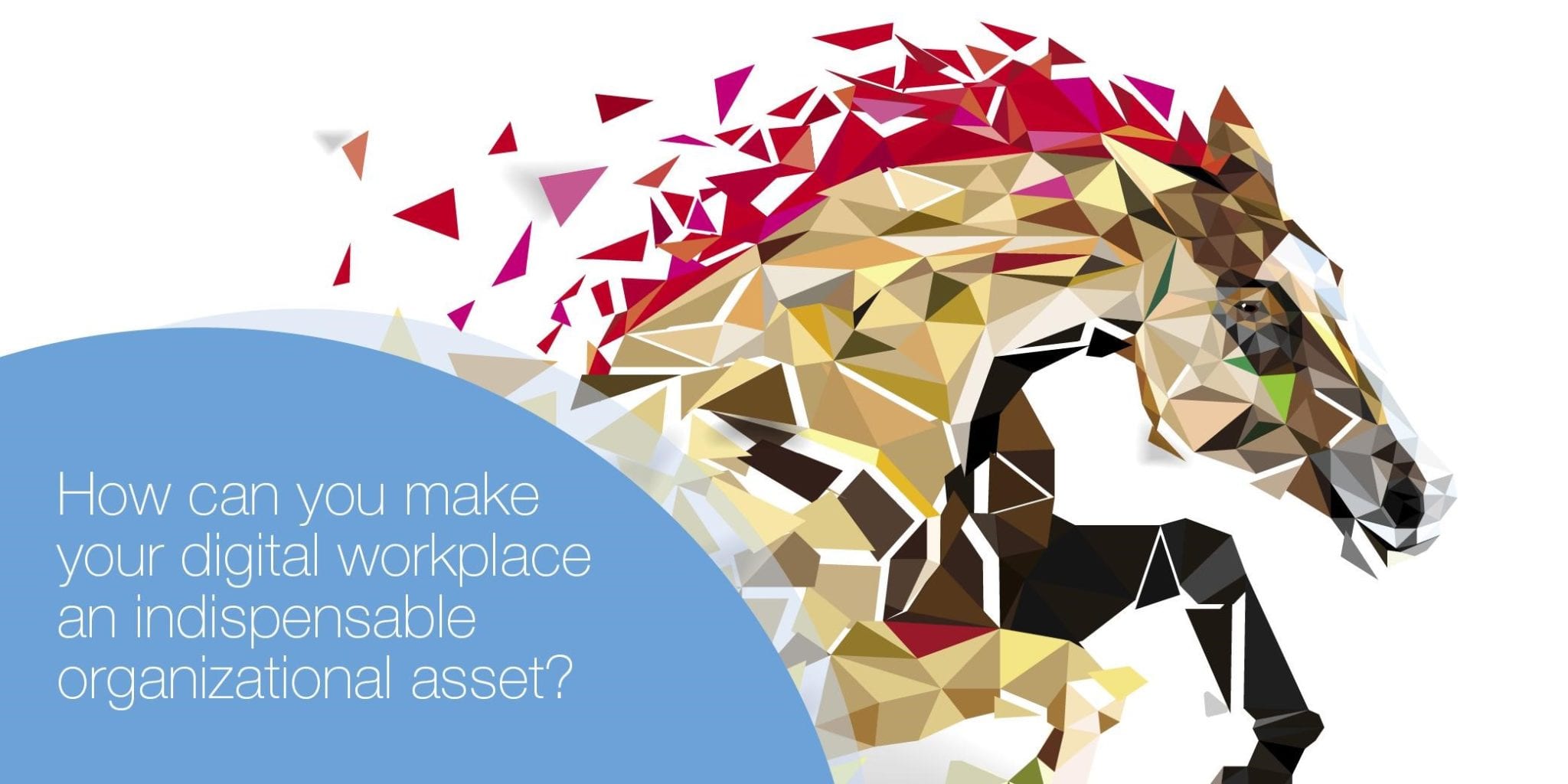 Digital workplace initiatives – If you build it, will they come ...