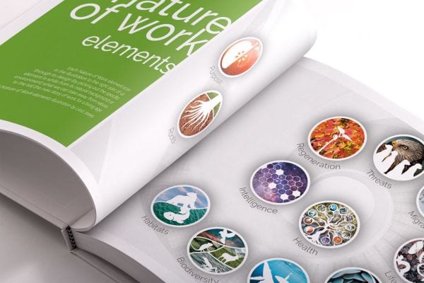 6 examples of organizations living & breathing Nature of Work