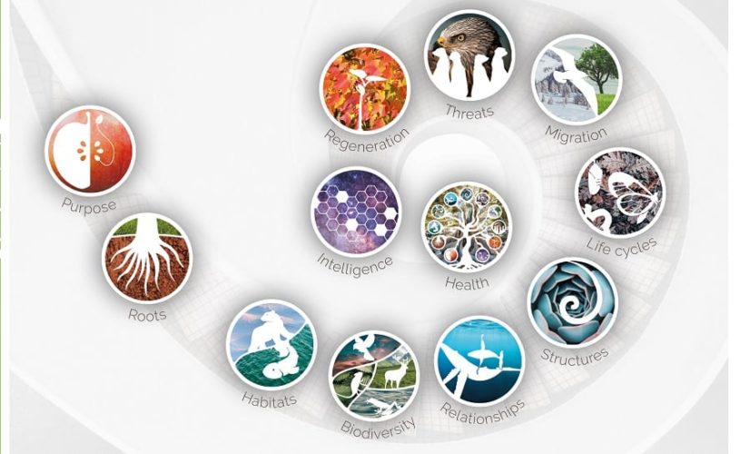 6 examples of organizations living & breathing Nature of Work